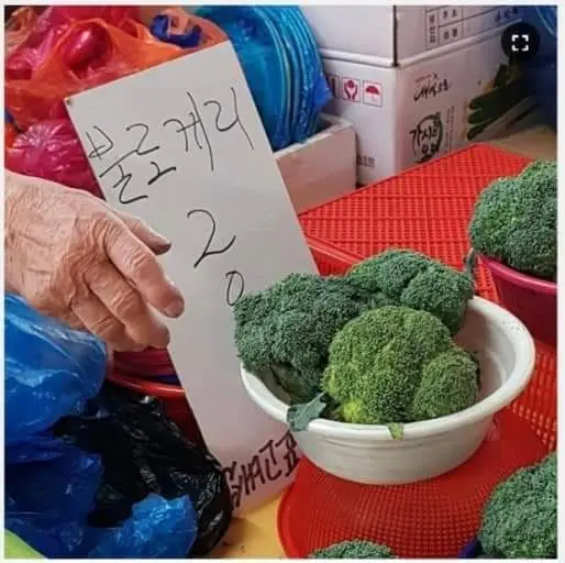 시장마다 이름이 다른 식물 에누리 쇼핑지식 자유게시판